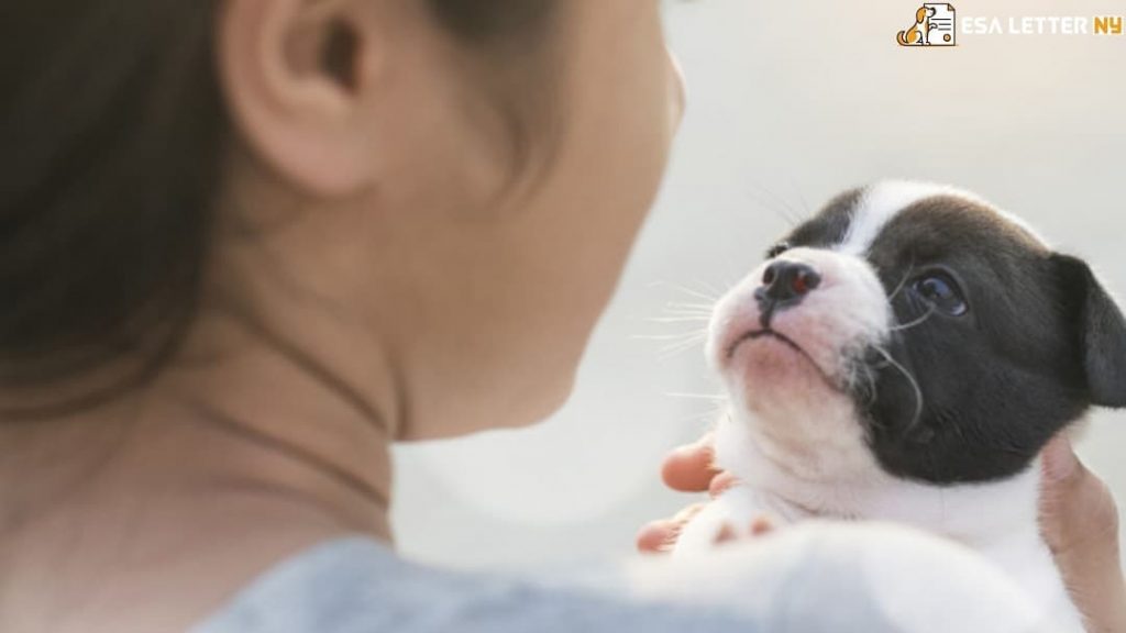 How Can an ESA Help You Boost Overall Wellness?